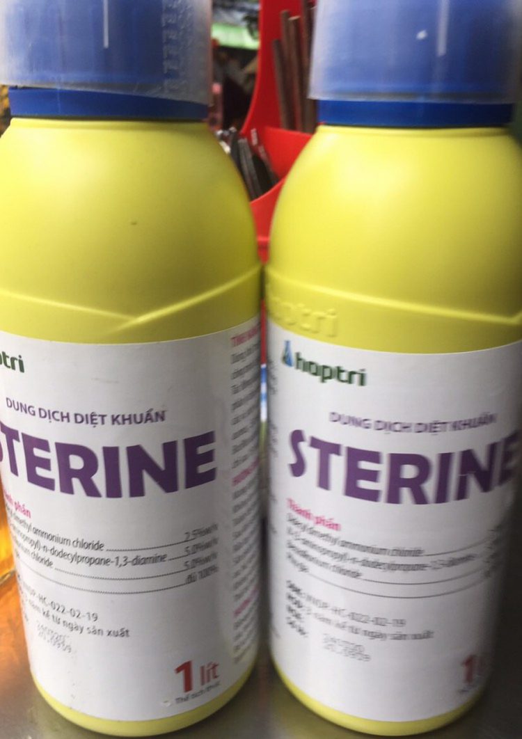 Chế phẩm khử trùng chuyên dụng Sterine – Diệt mối Quốc Thịnh